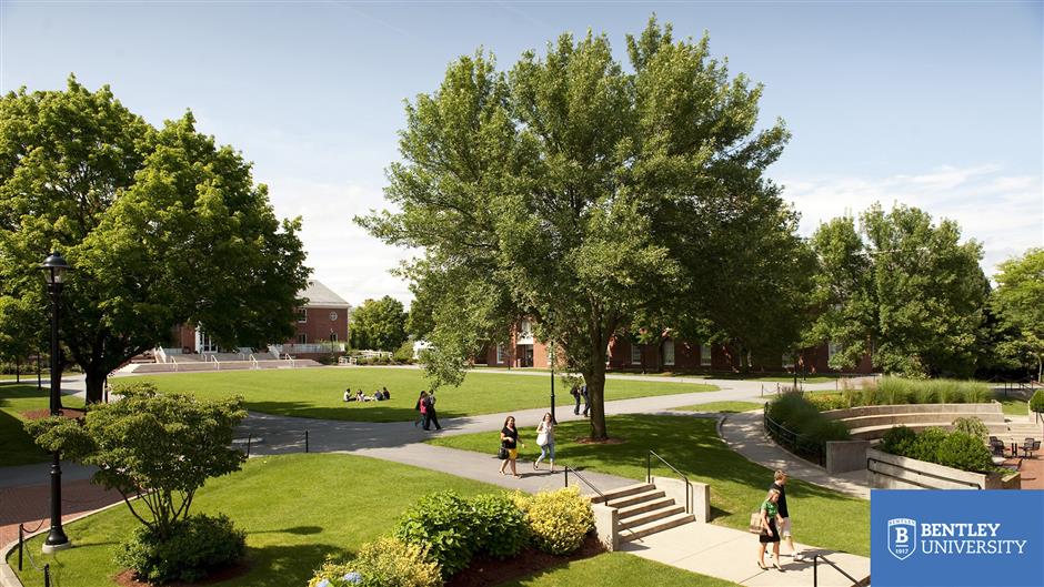 Login - Bentley Programs